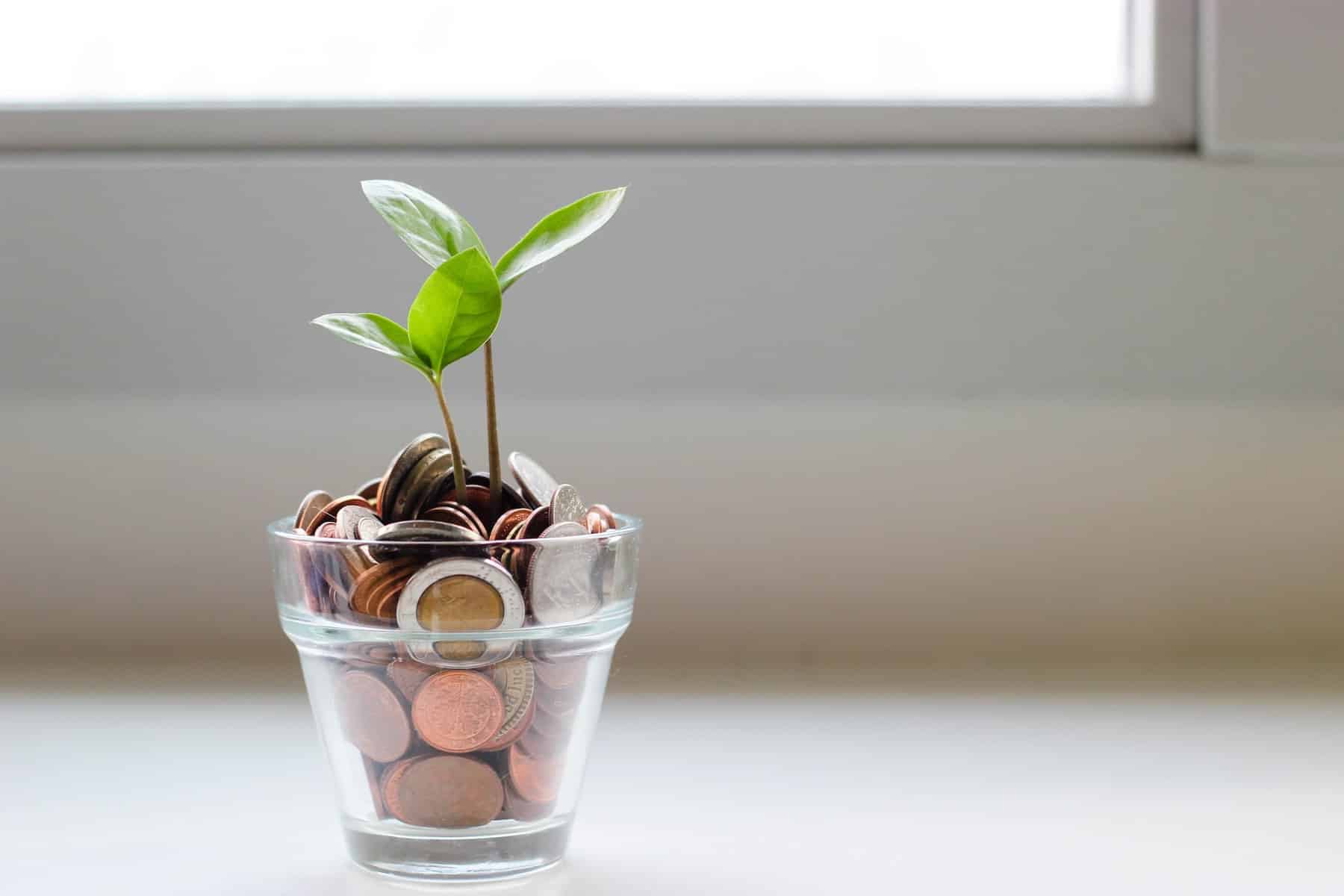 Professional Growth : Why It Pays To Be Intentional - CTO Academy